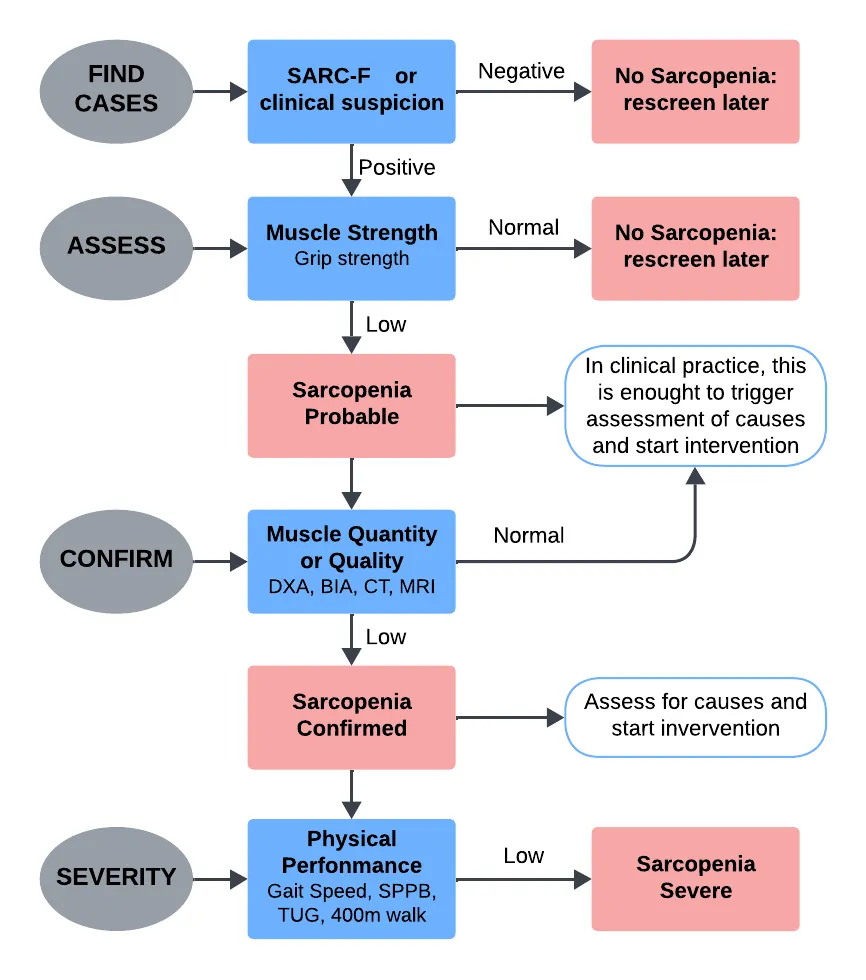sEMG技术在肌少症诊断与评估中的应用_生物器材网